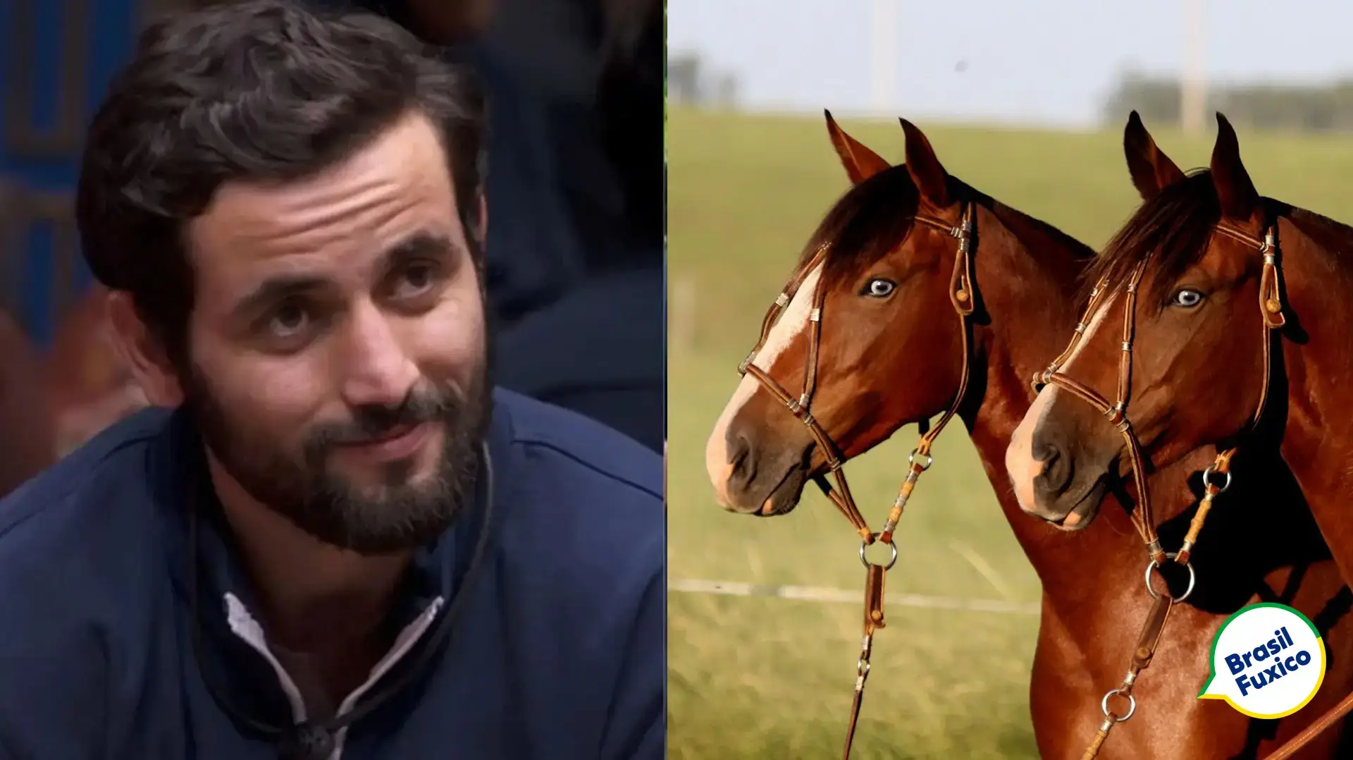 Brasil Fuxico - O Maior Portal De Noticias E Entretenimento